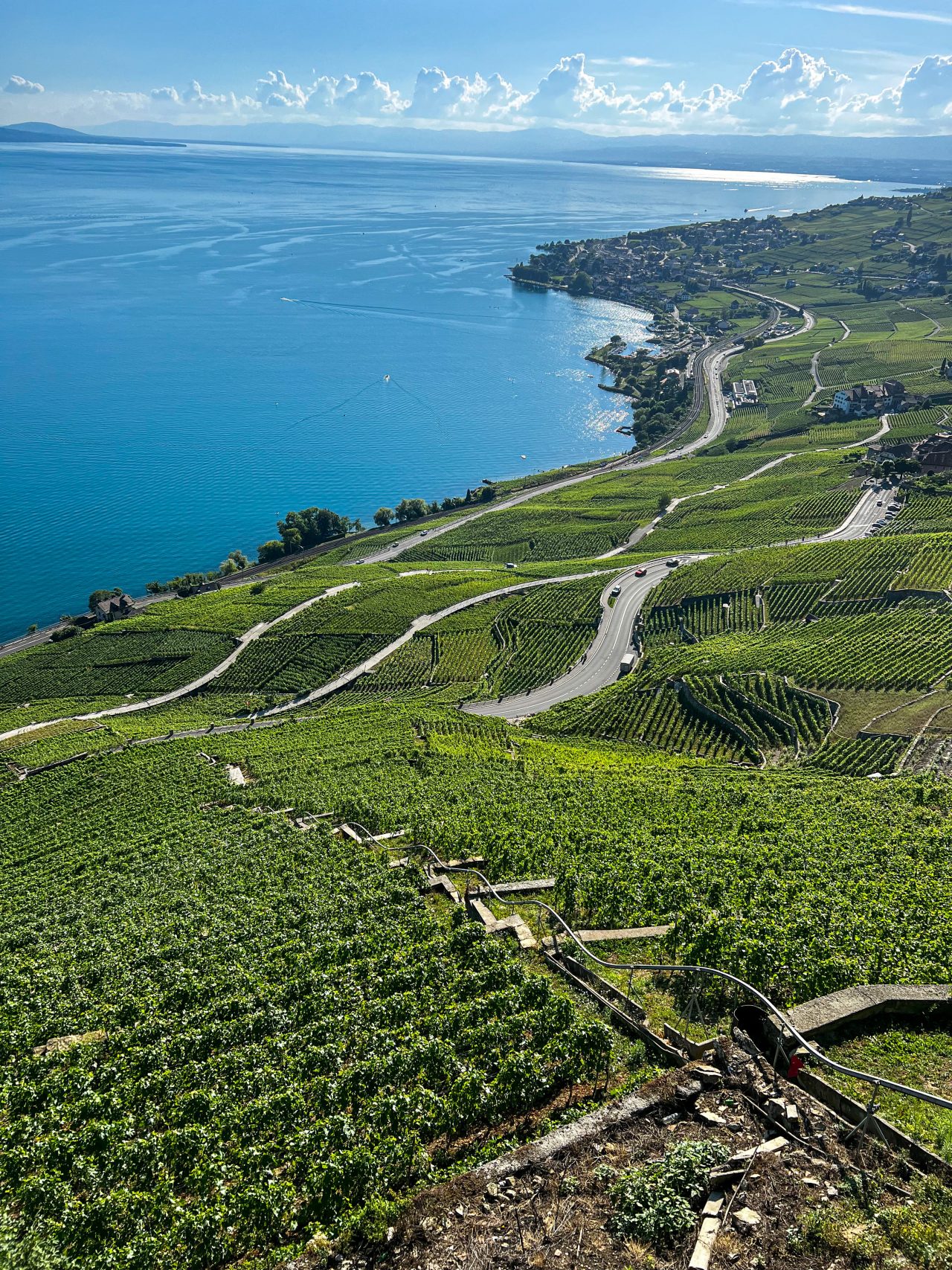Le surprenant Dézaley Grand Cru de Lavaux avec le domaine des Frères ...